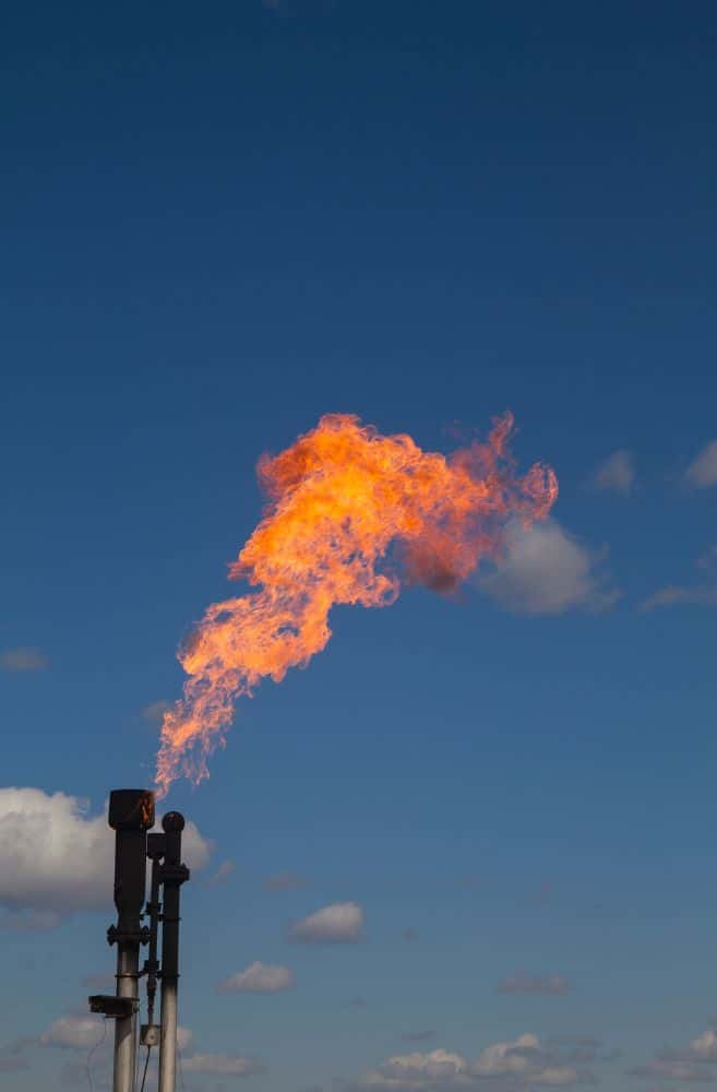 Ich kaufe Bitcoin, um die Umwelt zu schützen. Das ist der Grund